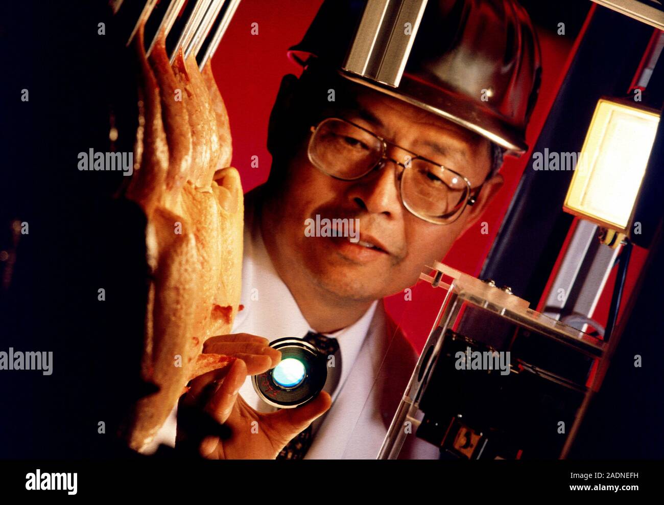 Chicken inspection. Agricultural engineer from the US Department of ...