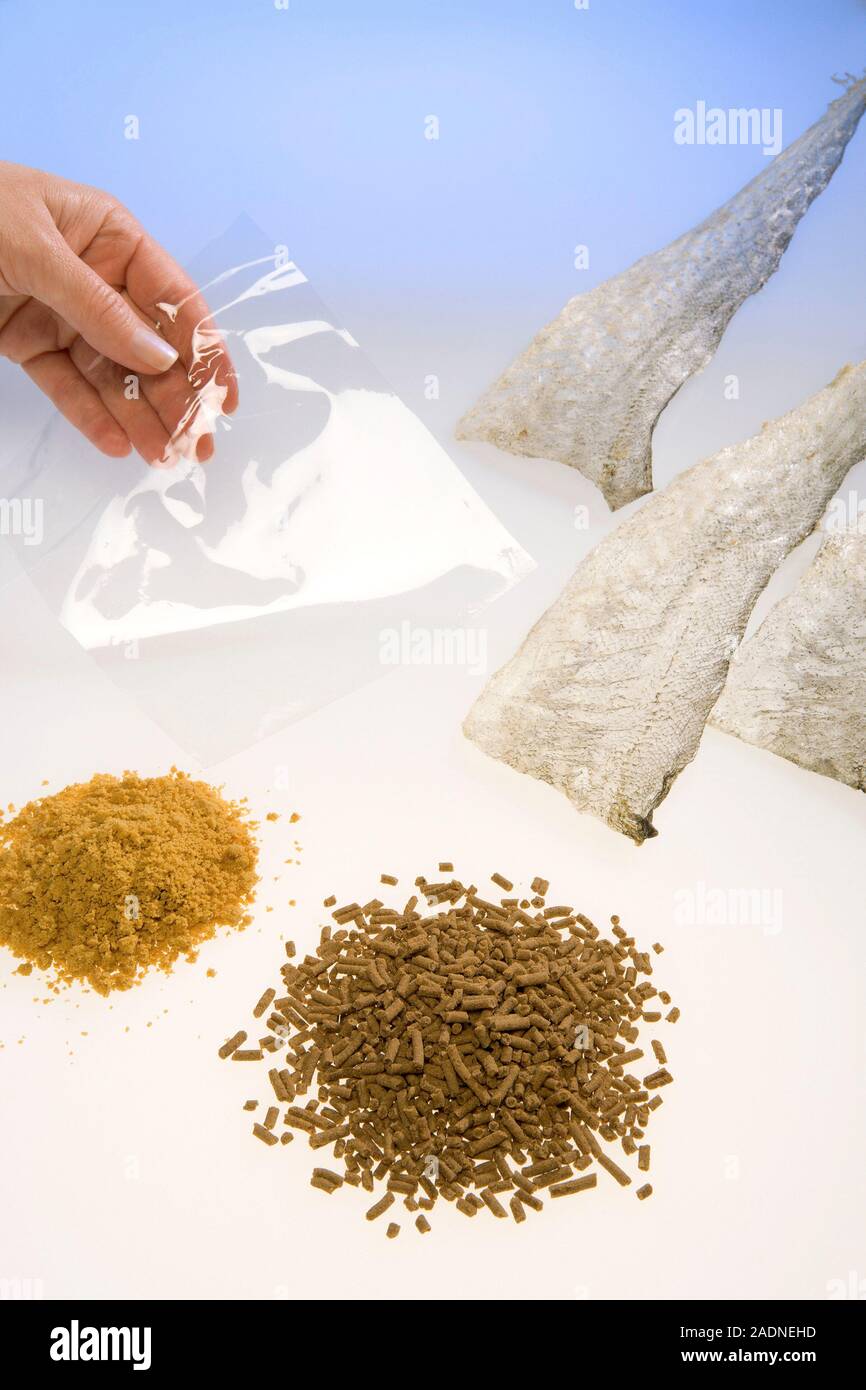 Fish products. Clockwise from upper left are: a sheet of gelatin; skins ...