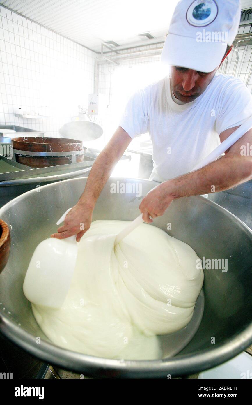 Organic mozzarella production. The production of mozzarella involves ...