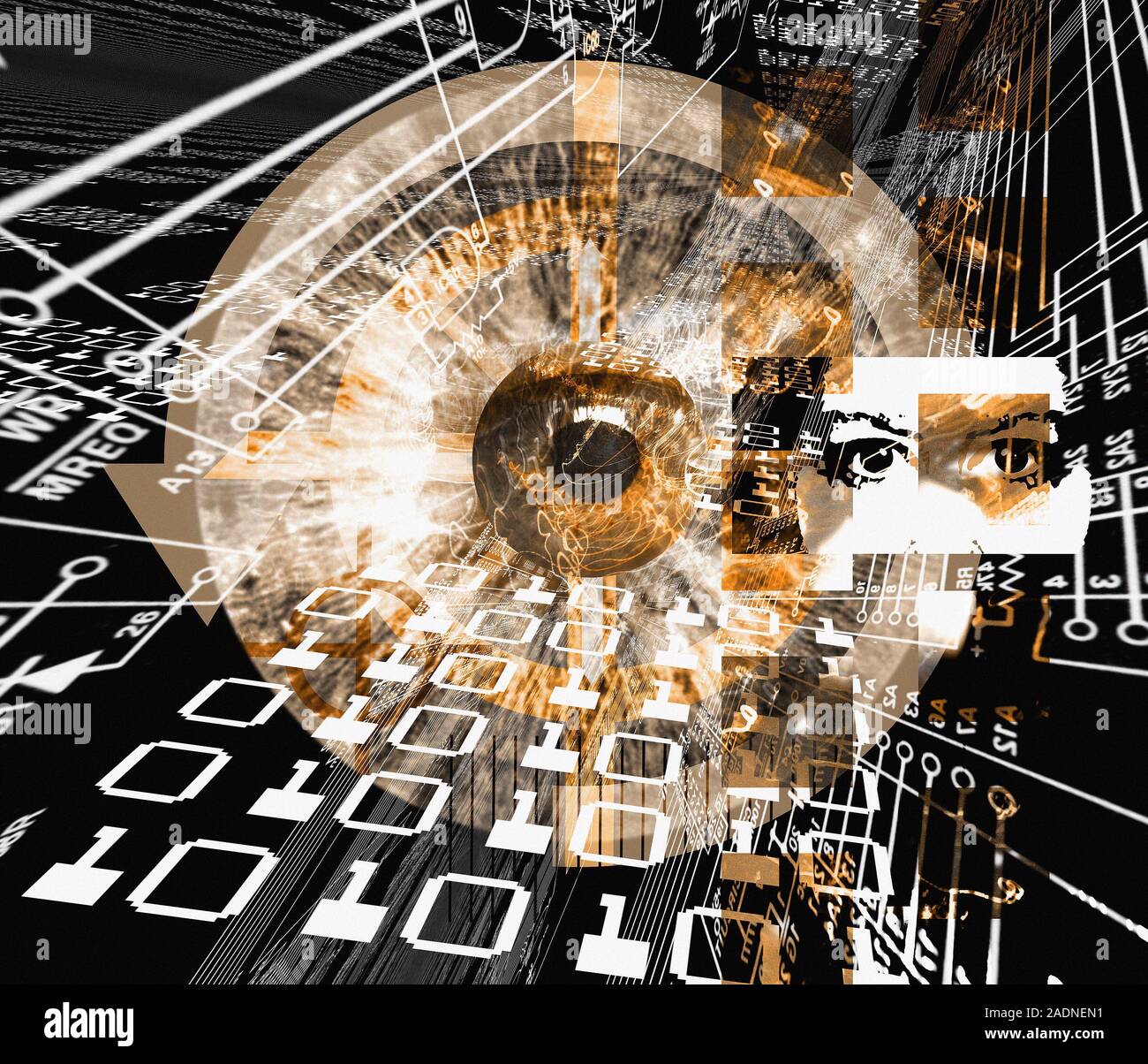 Computer surveillance. Conceptual computer artwork of human eyes, electronic circuit diagrams ...