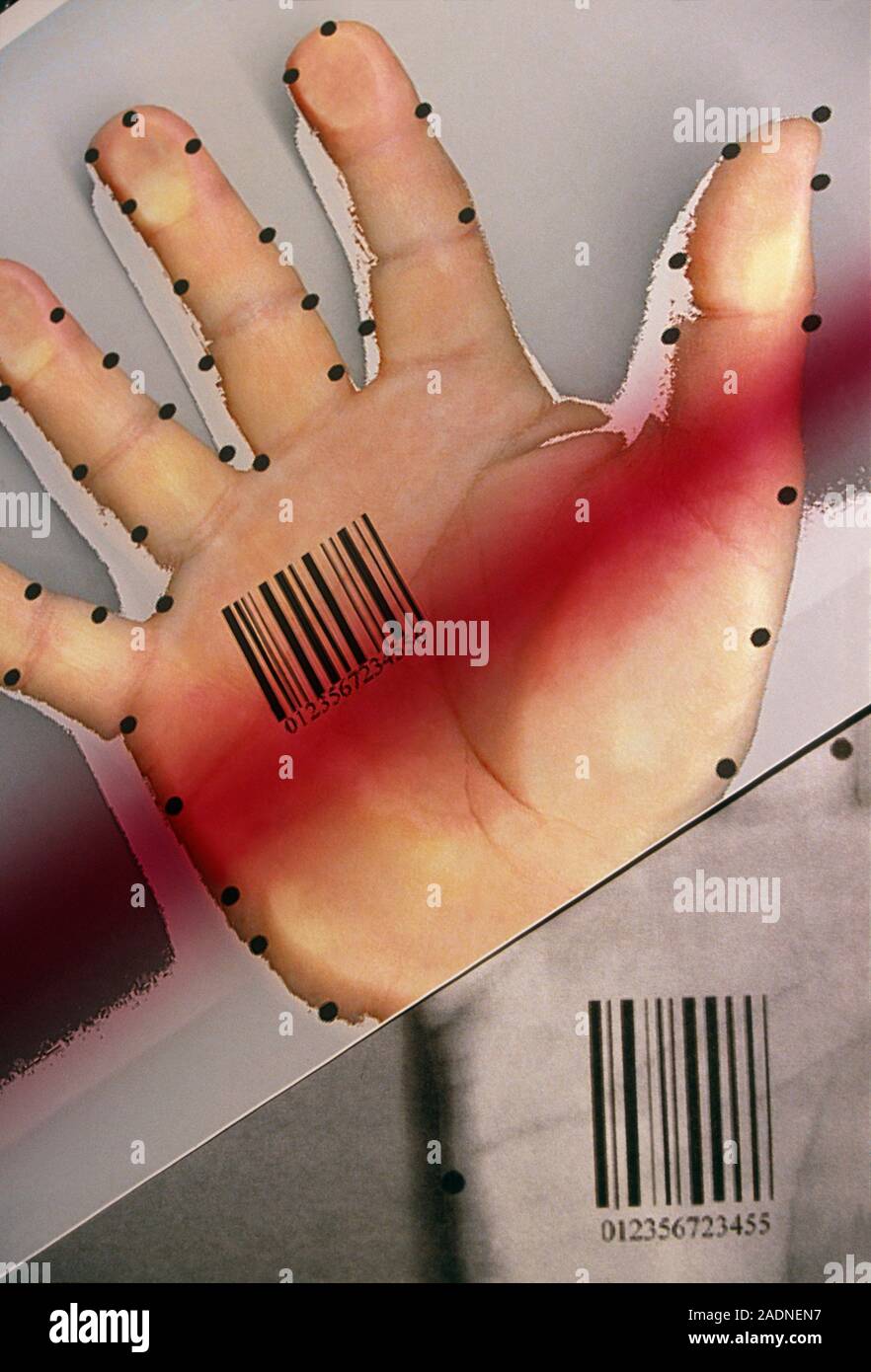 Hand scanning. Conceptual computer artwork of a hand with a bar code on ...