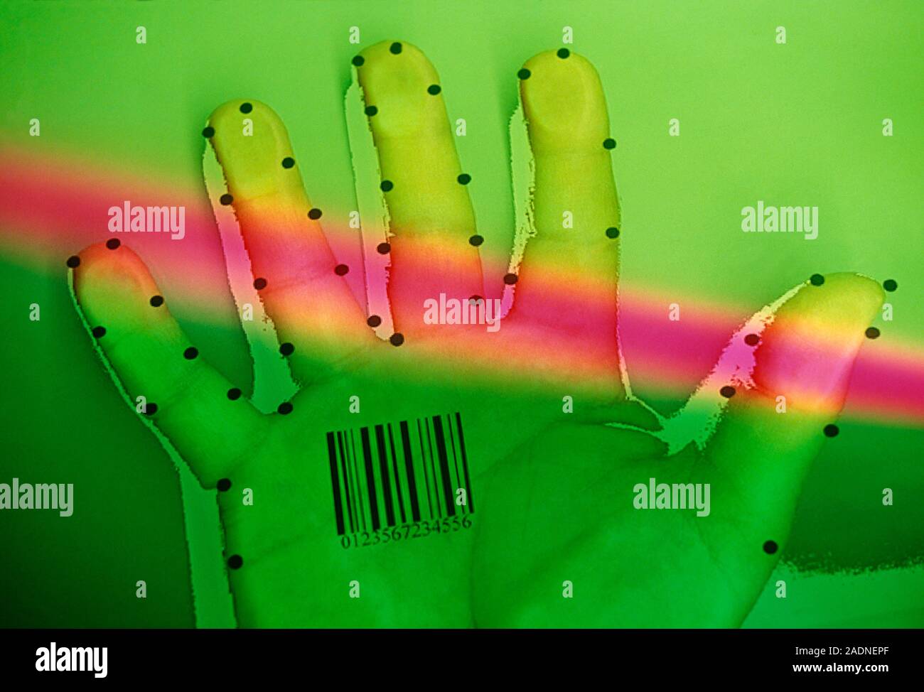 Hand scanning. Conceptual computer artwork of a hand with a bar code on ...
