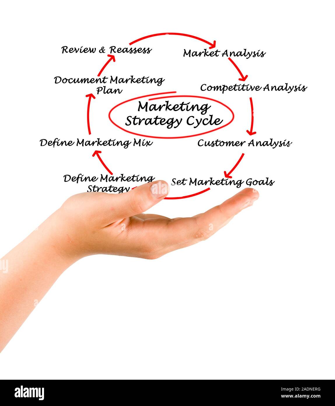 Strategy assessment Cut Out Stock Images & Pictures - Alamy