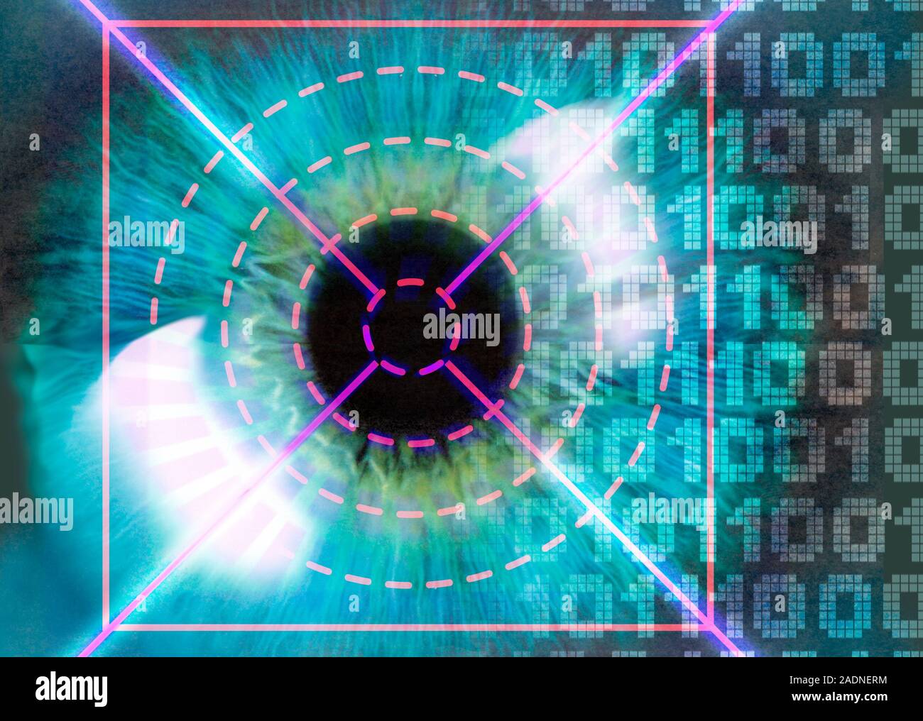 Eye scanning. Conceptual computer artwork of a target (pink) over a ...
