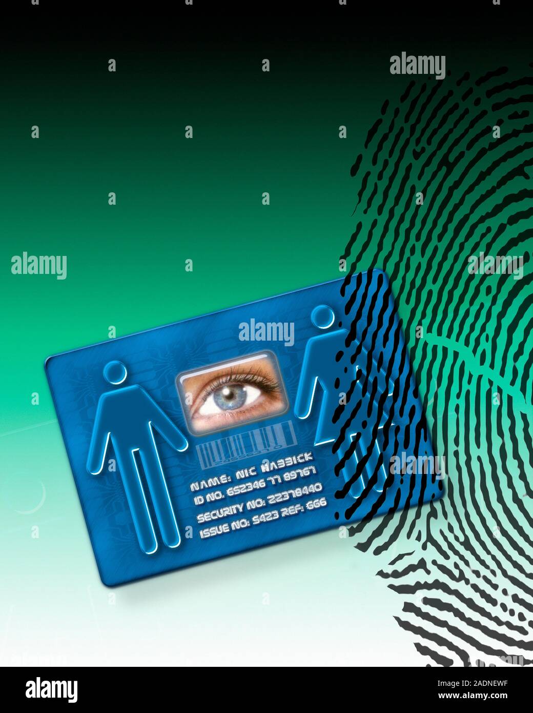 Biometric ID card. Computer artwork of a personal ID (identification ...