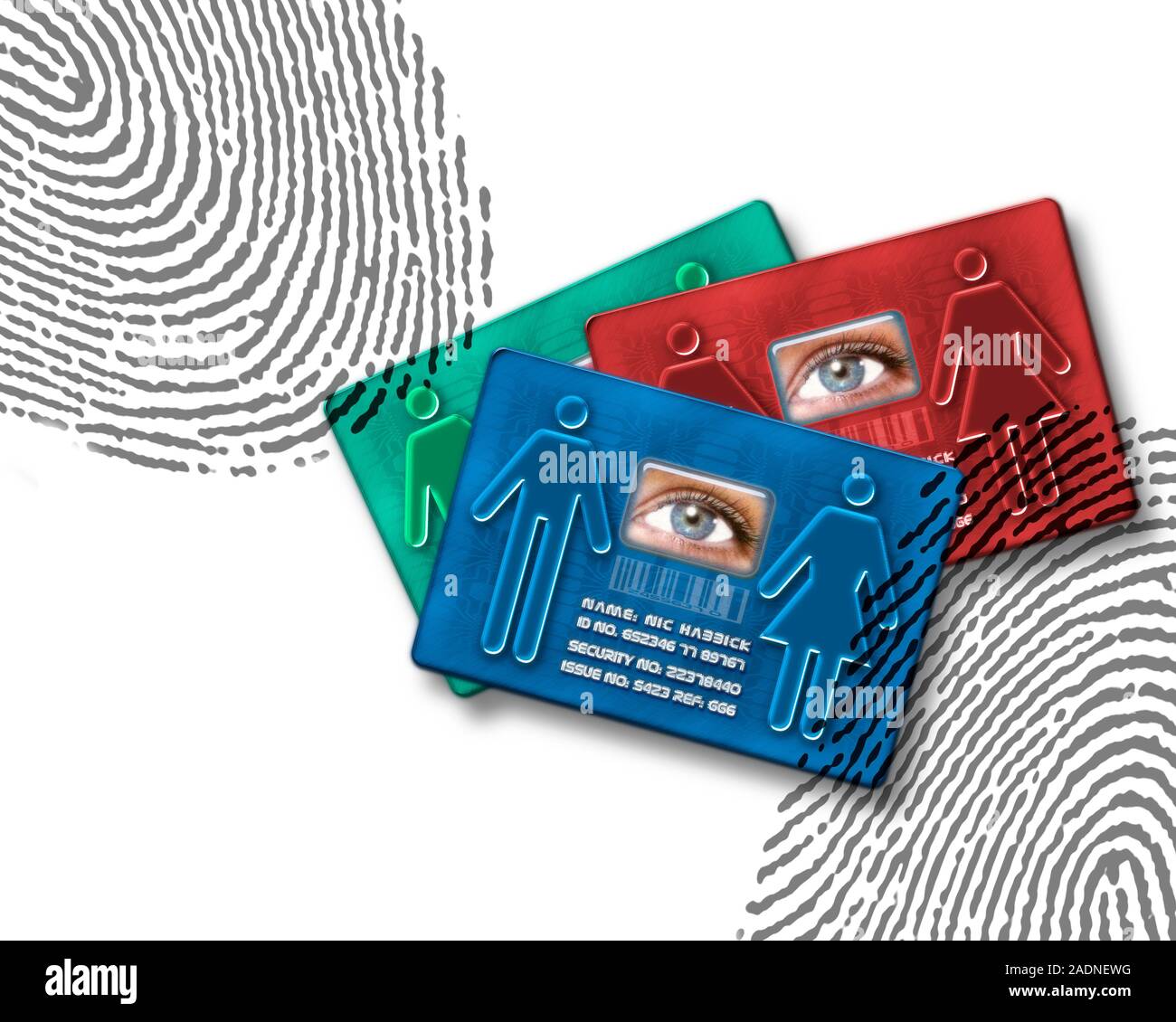 Biometric ID cards. Computer artwork of personal ID (identification ...