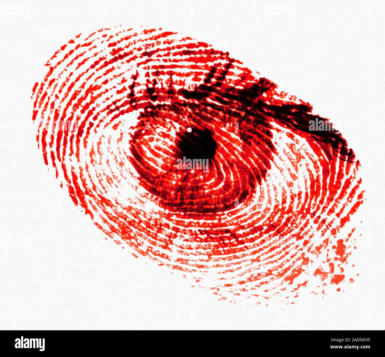 Biometric identification. Conceptual computer artwork of a human eye in ...