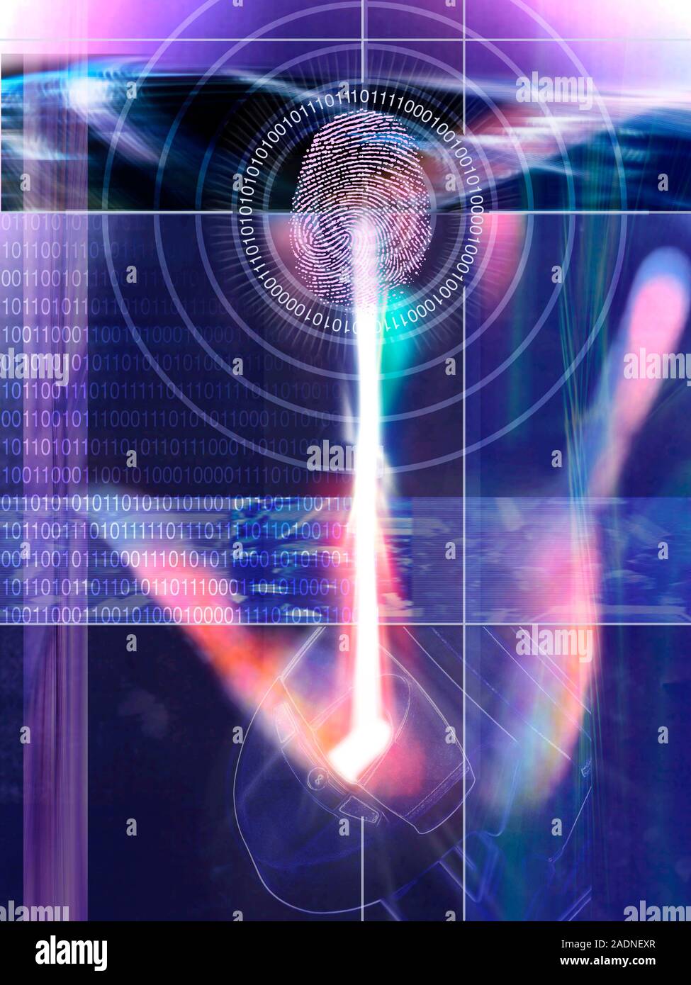 Biometric fingerprint. Computer artwork of a hand and a fingerprint ...