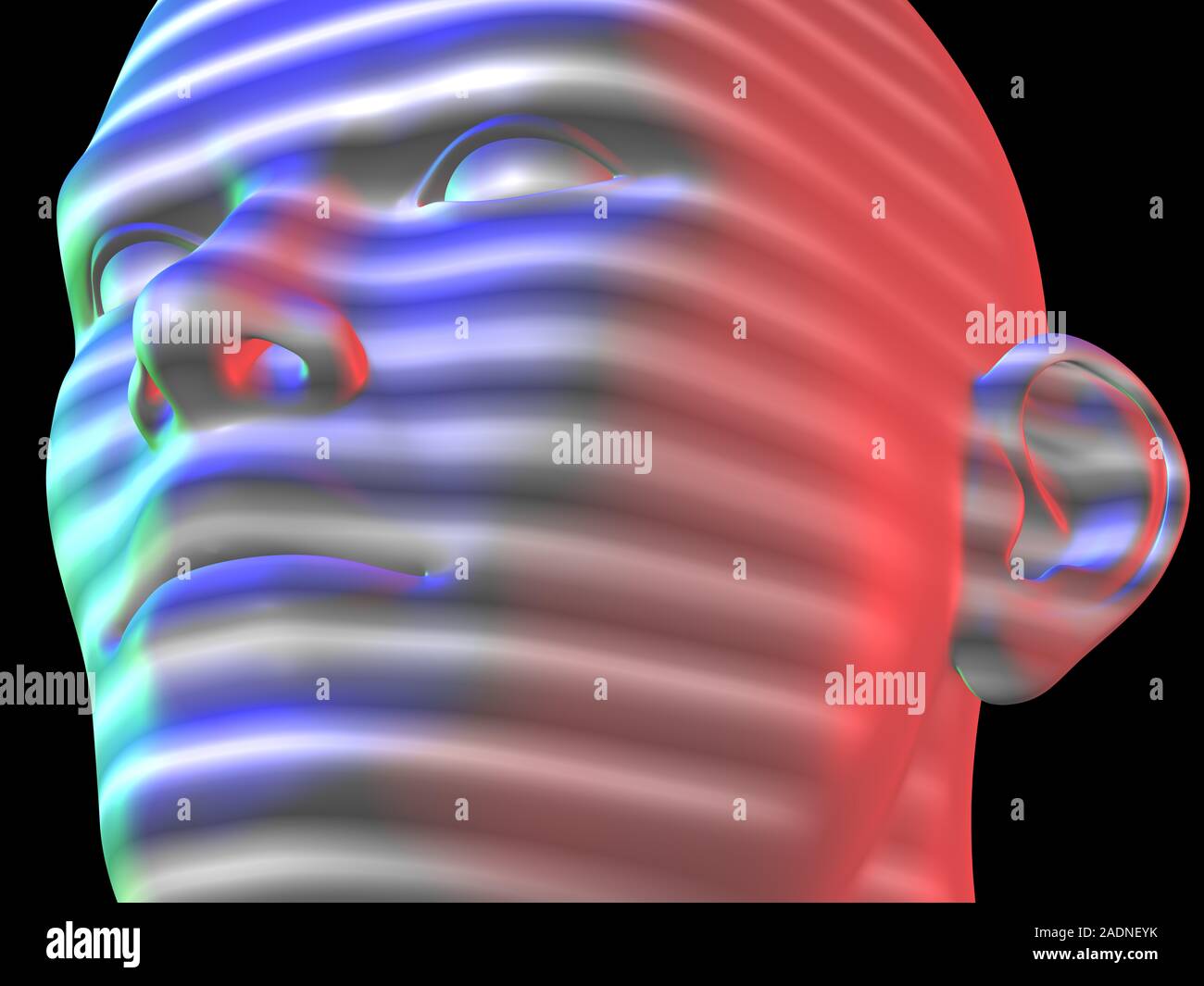 Biometric scanning. Computer artwork of a face being scanned by a ...