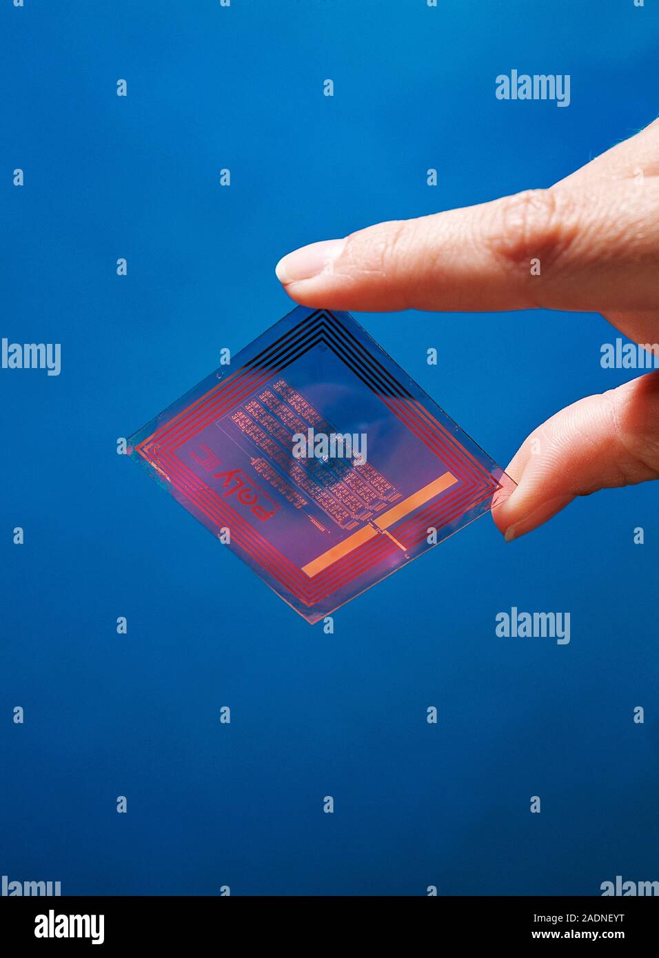 Intelligent label chip. Radio frequency identification (RFID) chip with ...