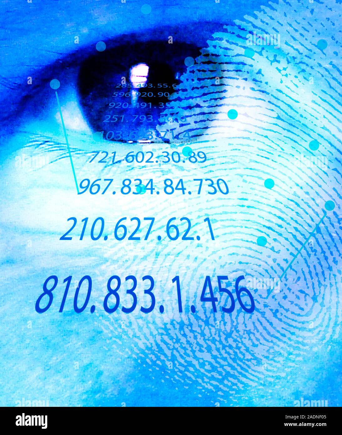 Biometric scans. Computer artwork of a human eye and fingerprint ...