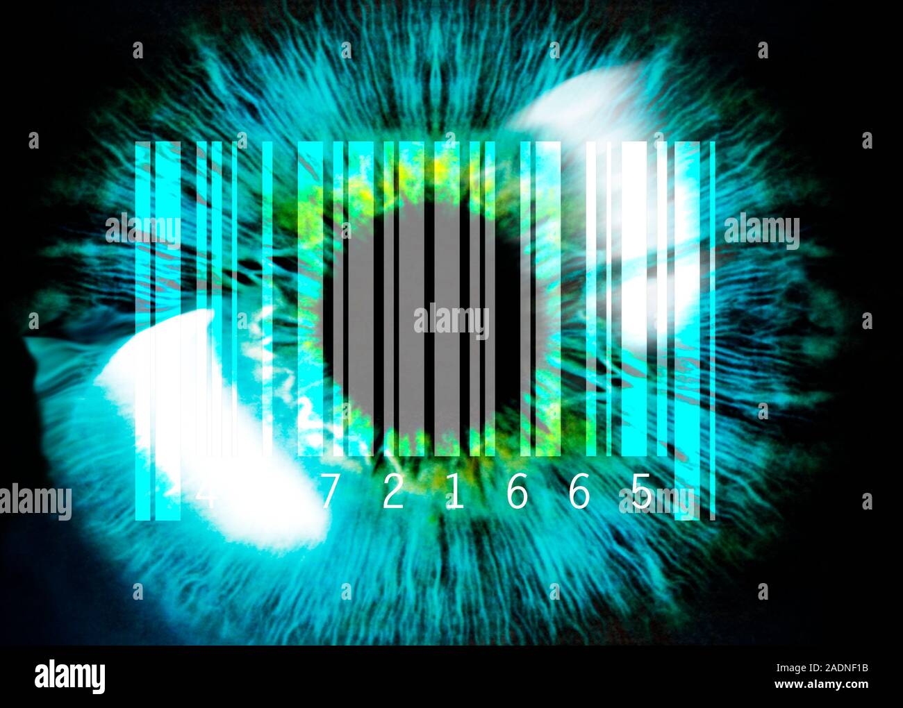 Biometric eye scan. Computer artwork of a barcode over a human eye ...