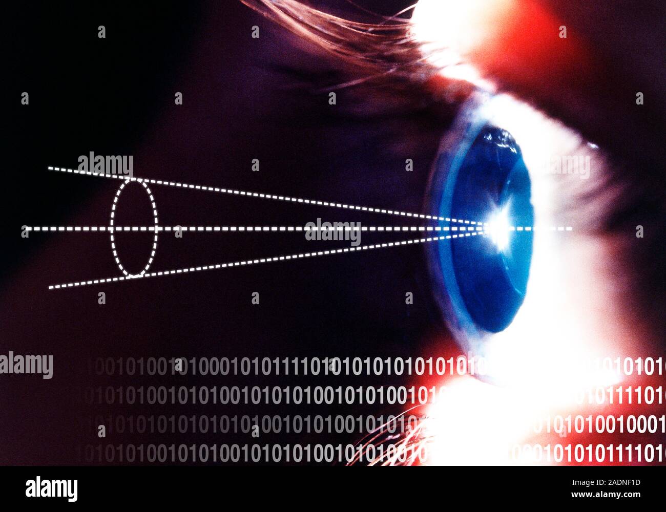 Biometric eye scan. Computer artwork of a human eye overlaid with ...