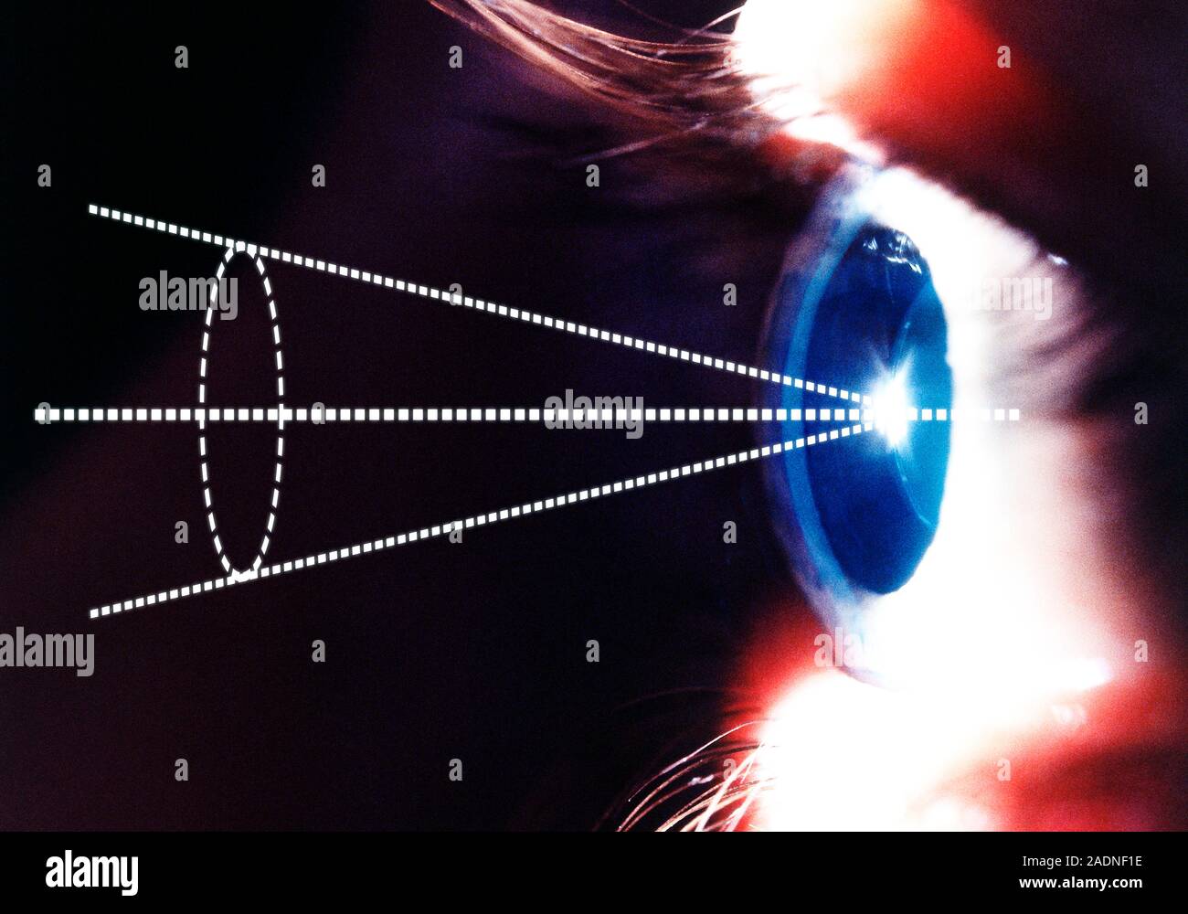 Biometric eye scan. Computer artwork of a human eye overlaid with ...