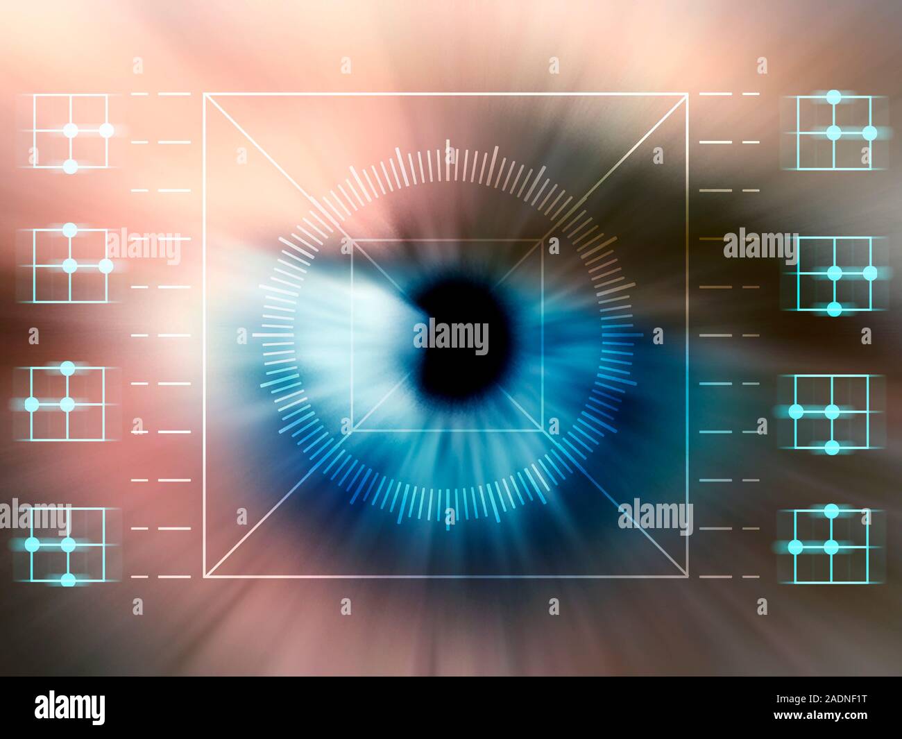 Biometric eye scan. Computer artwork of a human eye being scanned ...