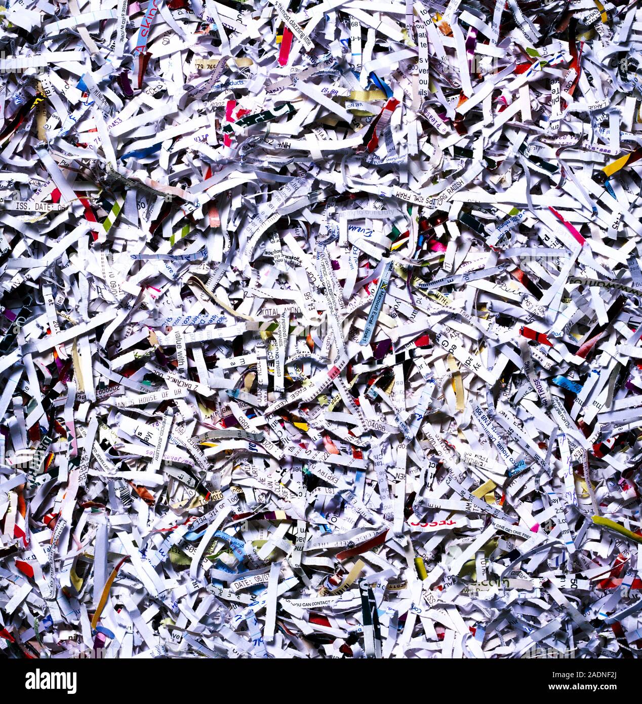 Shredded paper. Various documents that have been shredded for security ...