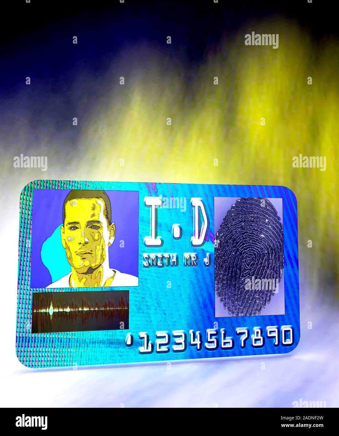 Biometric identity card. Computer artwork of an identity card ...