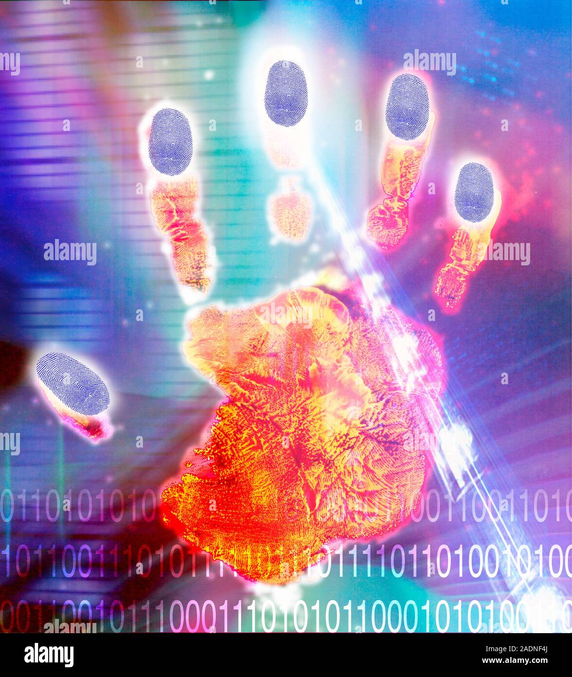 Hand biometrics. Conceptual computer artwork of a handprint and binary numbers (0 and 1, across ...