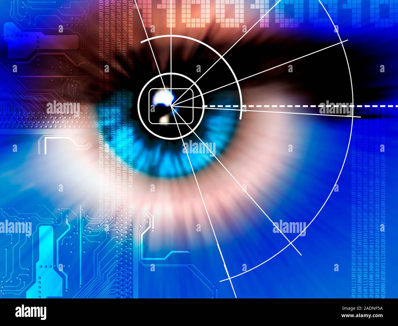 Biometric eye scan. Conceptual computer artwork of a human eye being ...