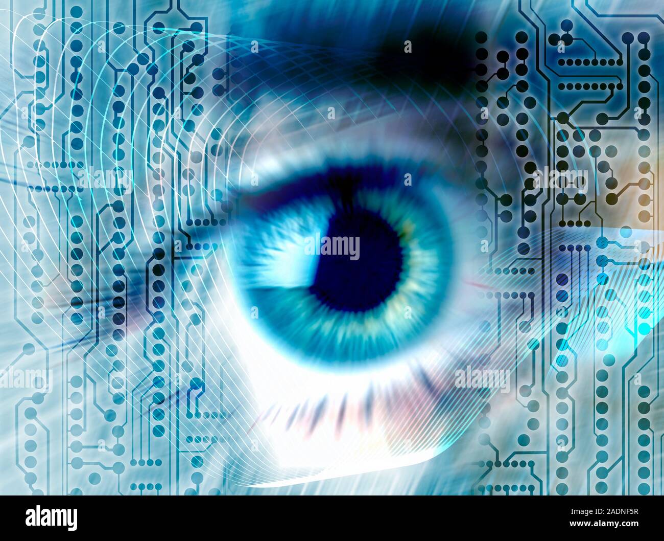 Biometric eye scan. Computer artwork of a human eye and printed circuit ...