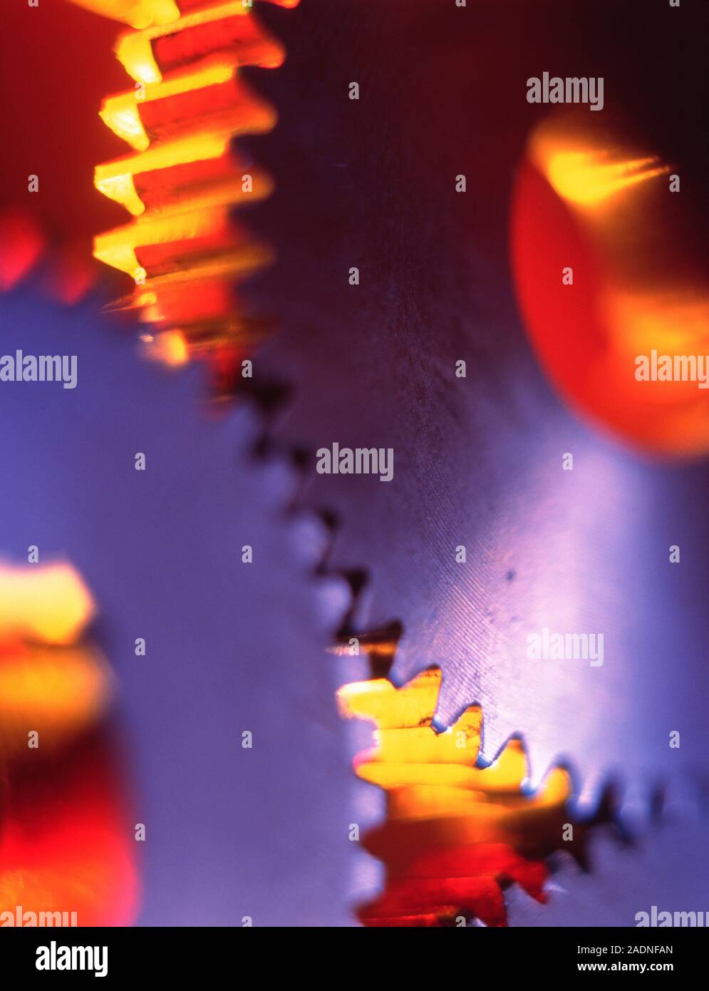 Cogs. Cogs for use in a gearing system. These cogs have teeth cut ...