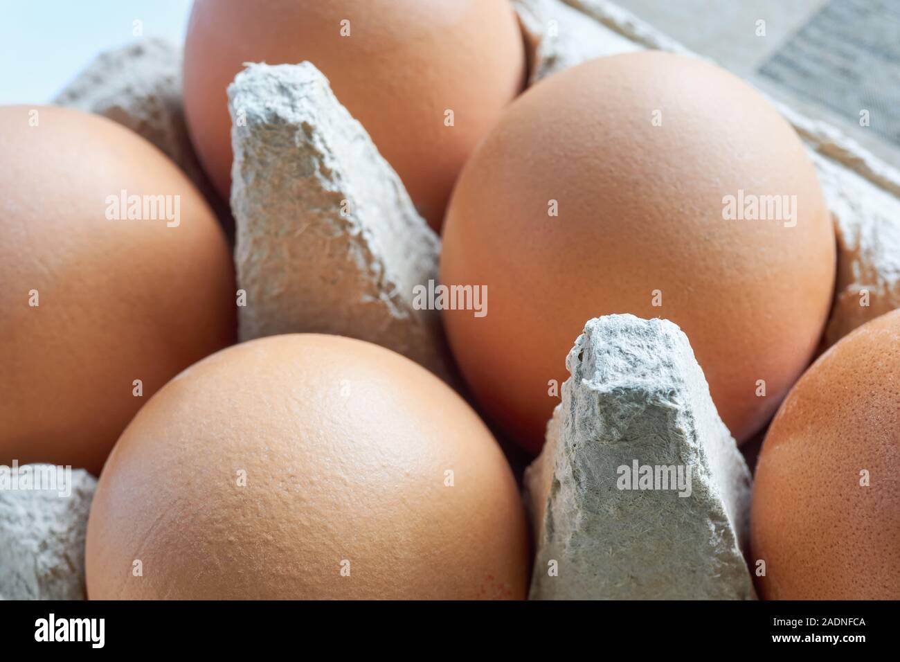 Egg shell structure hi-res stock photography and images - Alamy
