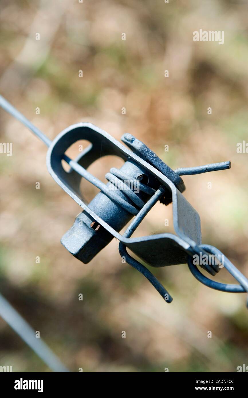 Fence wire tightener. Fence wire coiled around the winding mechanism ...