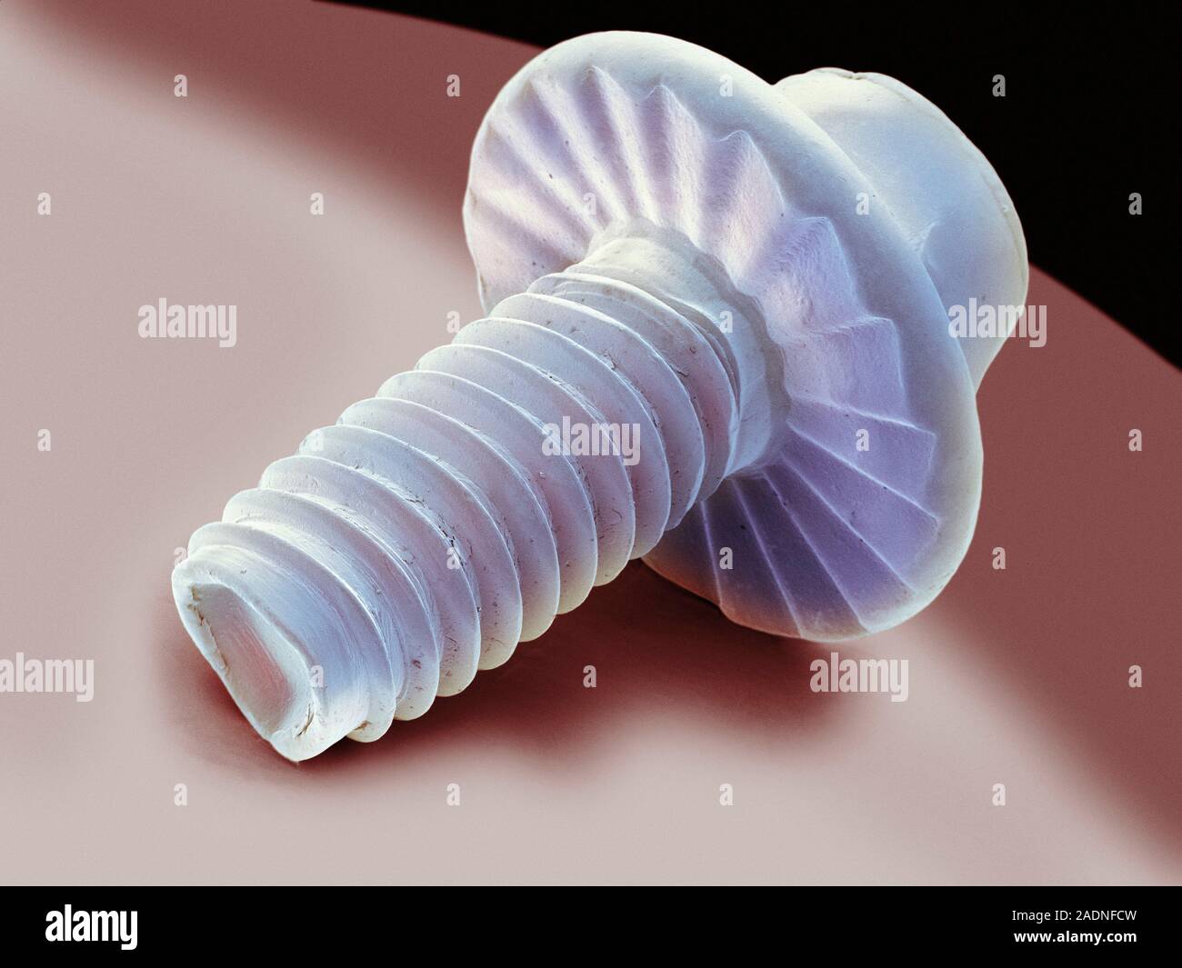Screw, coloured scanning electron micrograph (SEM Stock Photo - Alamy