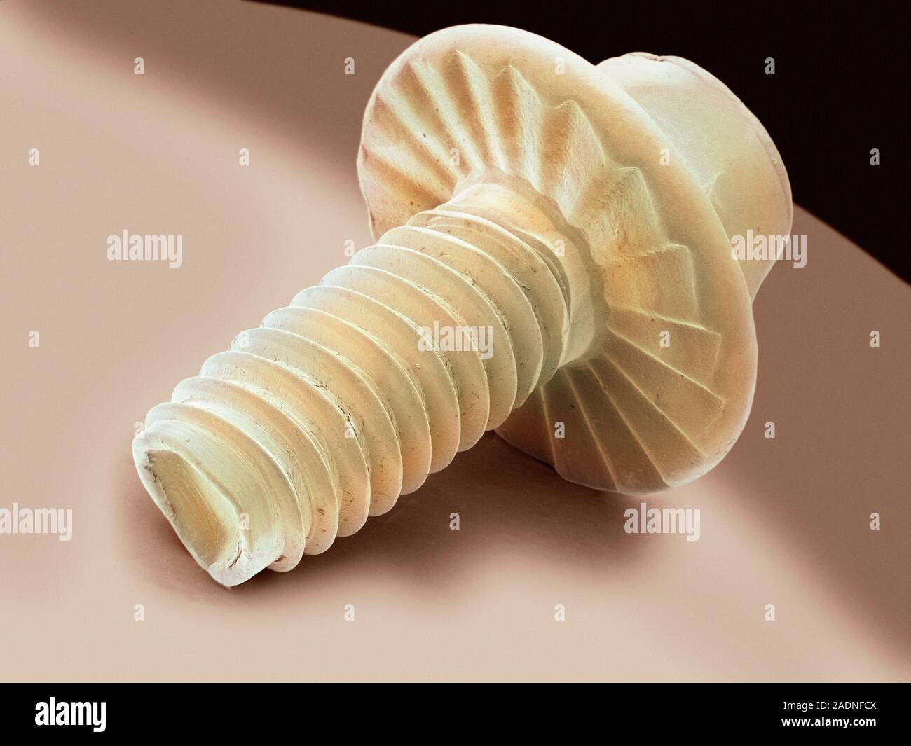 Screw, coloured scanning electron micrograph (SEM Stock Photo - Alamy
