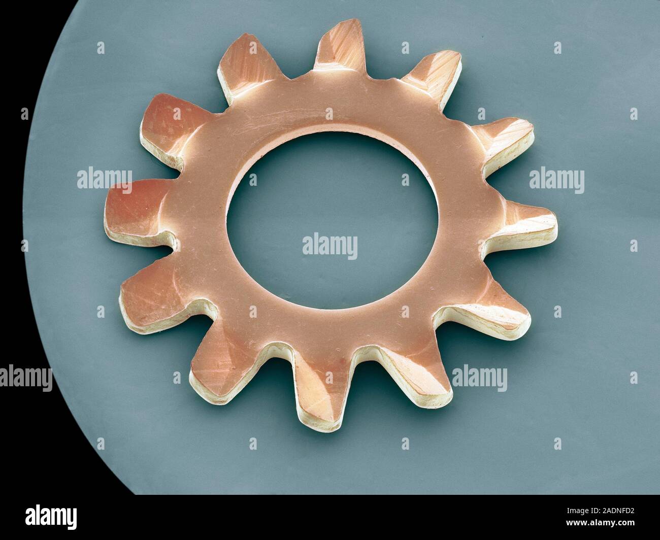 Washer, coloured scanning electron micrograph (SEM). Washers are placed ...