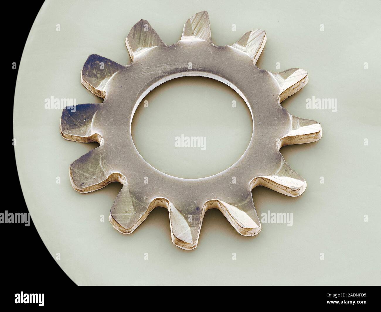 Washer, coloured scanning electron micrograph (SEM). Washers are placed ...