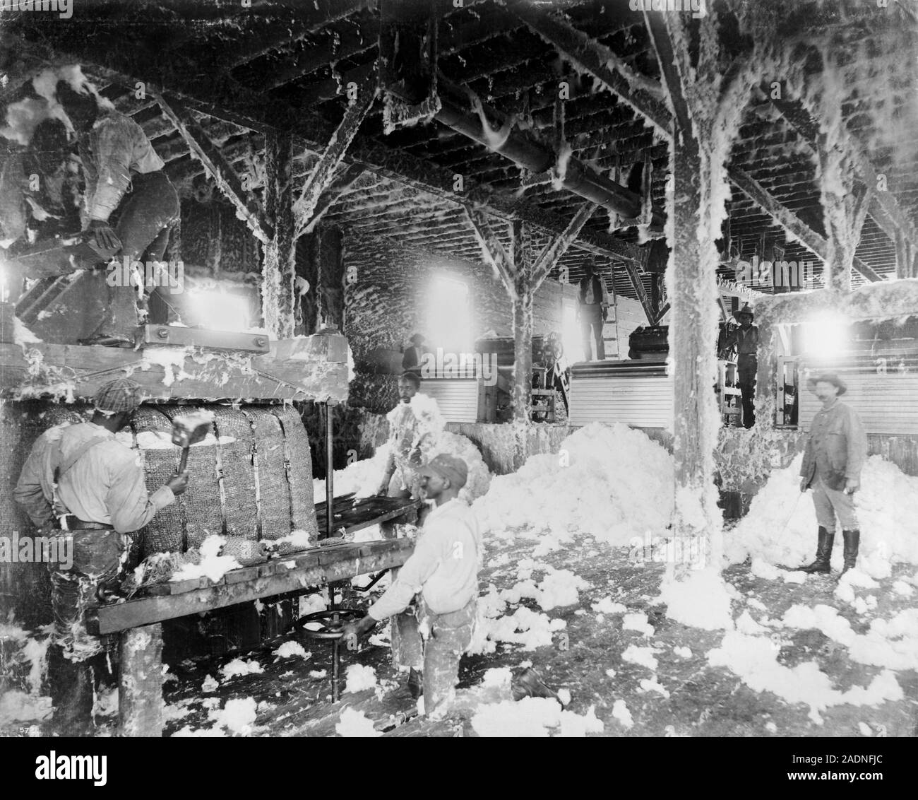 Cotton gins. Foreman and labourers operating cotton gins in a factory ...