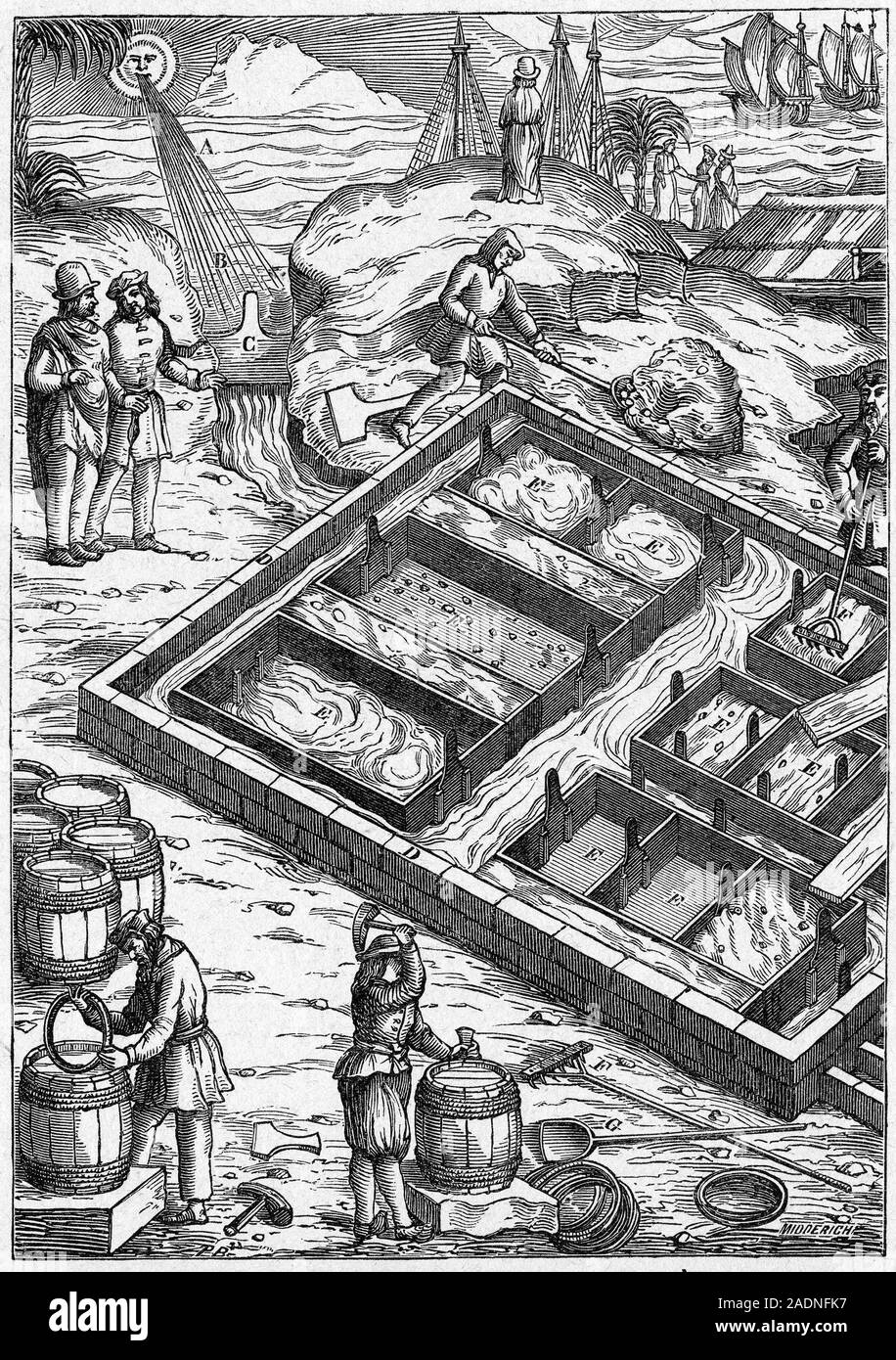 Salt pans. Historical artwork of salt pans on a salt marsh. The pans ...