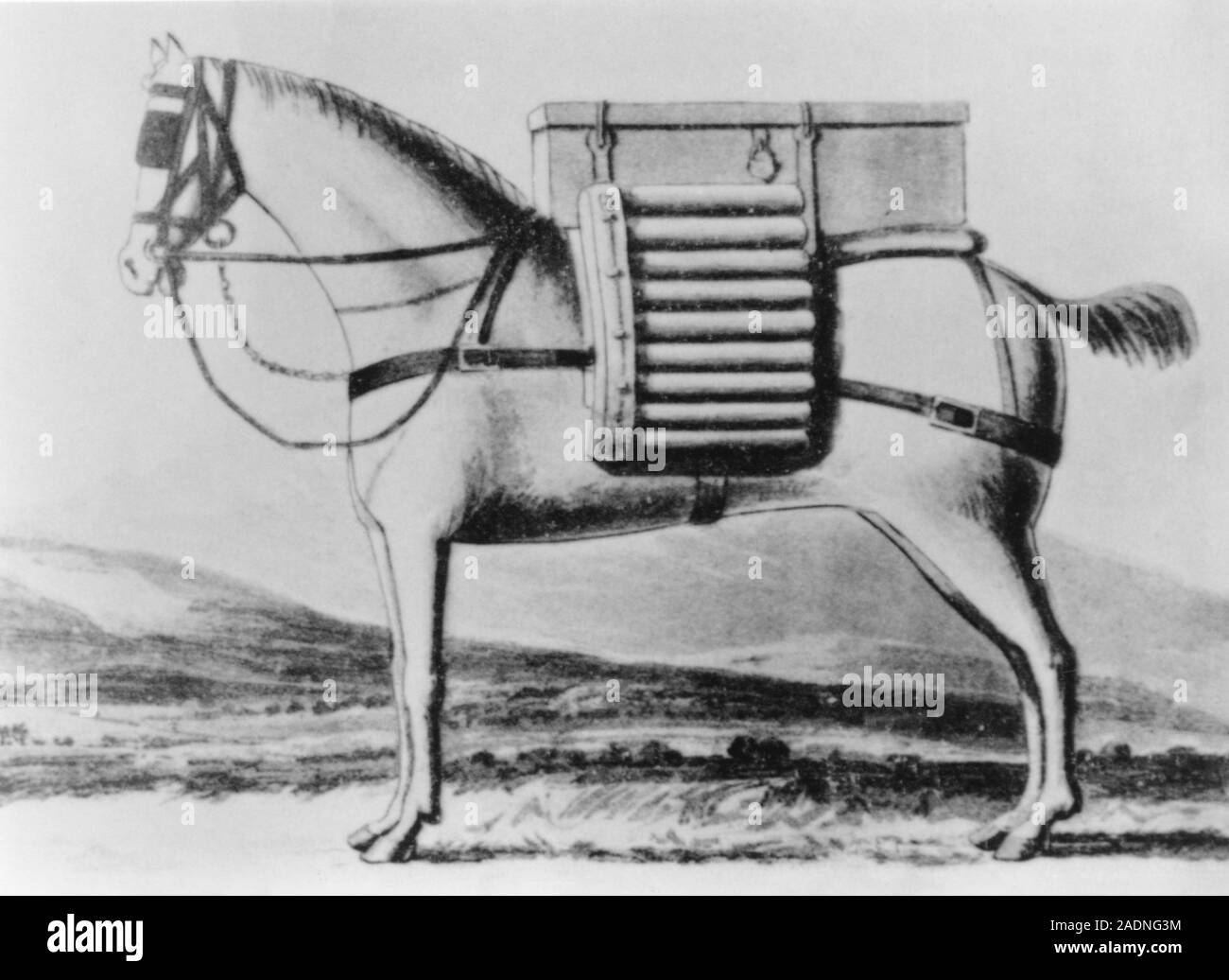 Rockets on a pack horse, 1813. A pack horse carrying six-pound 'service ...
