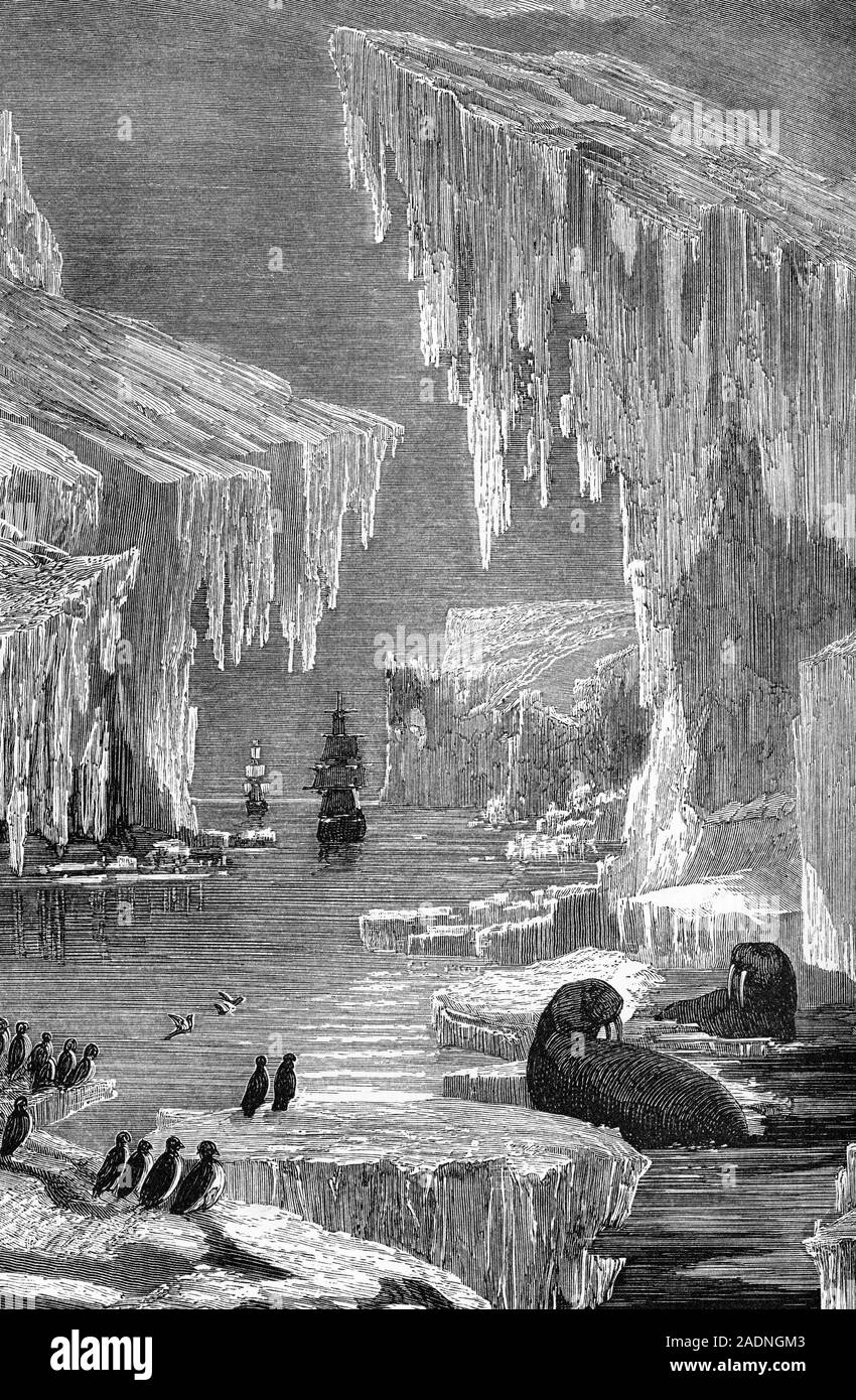 Franklin's lost Arctic expedition. 19th century artwork of HMS Erebus and HMS Terror exploring ...