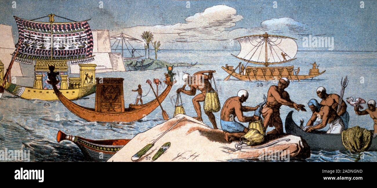 Ancient Egyptian ships. Historical artwork of several types of boats ...