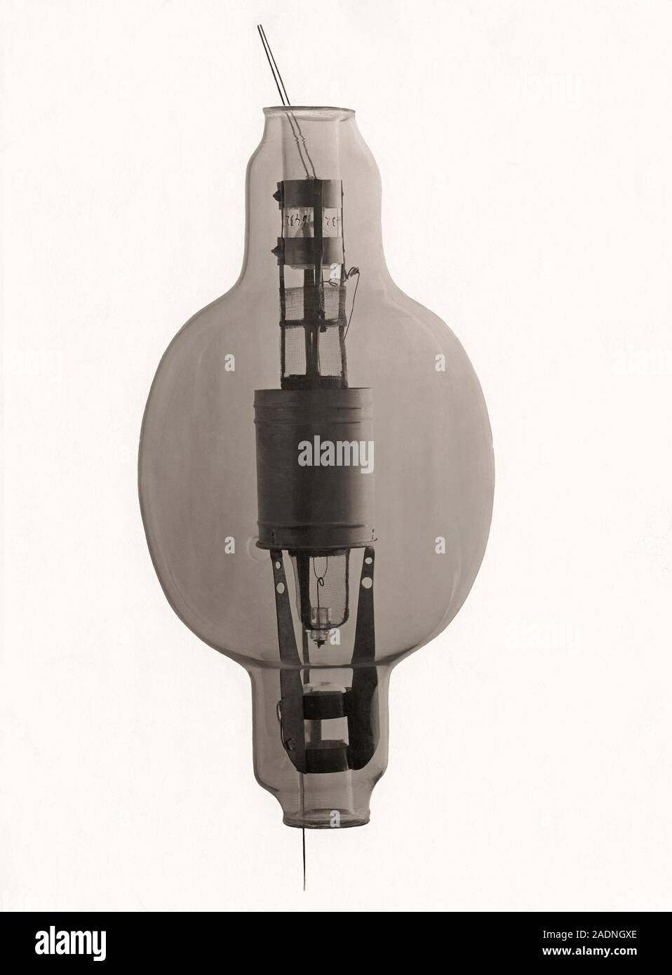 Marconi radio valve. This is a Marconi transmitter valve of the type M ...