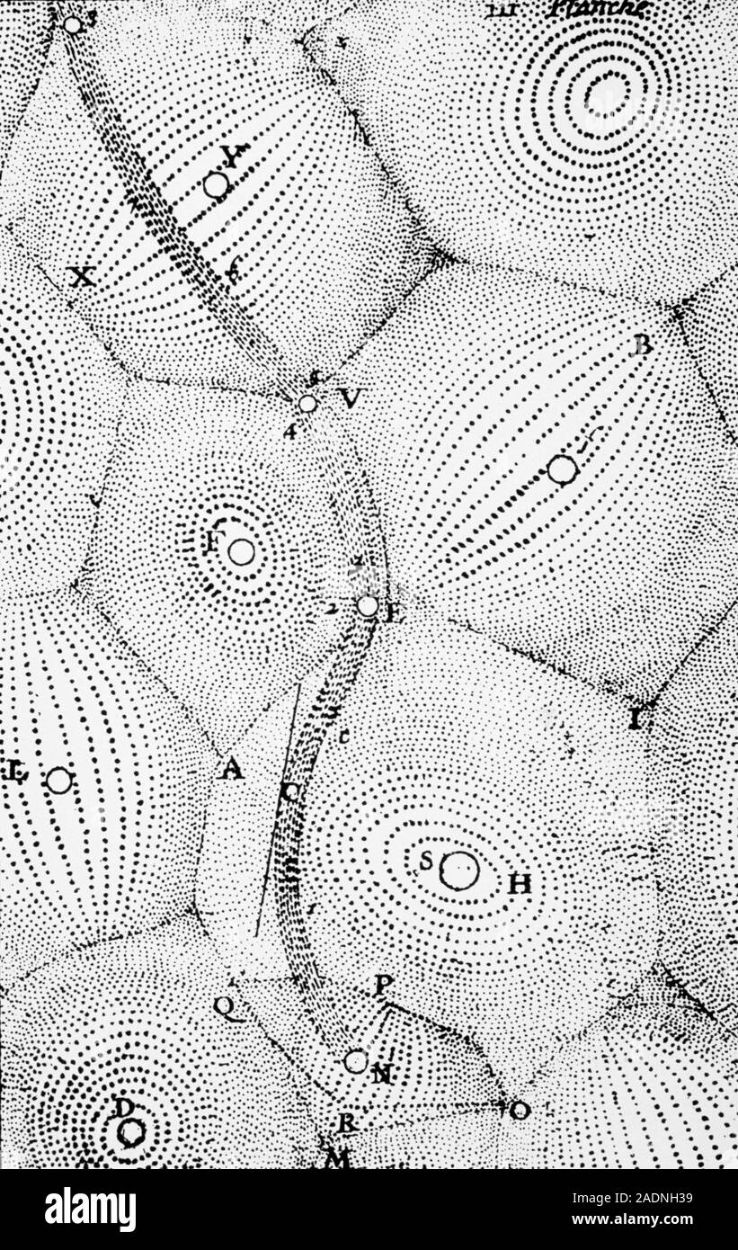 Illustration of the Vortex Theory from Principiae Philosophiae 1644 ...