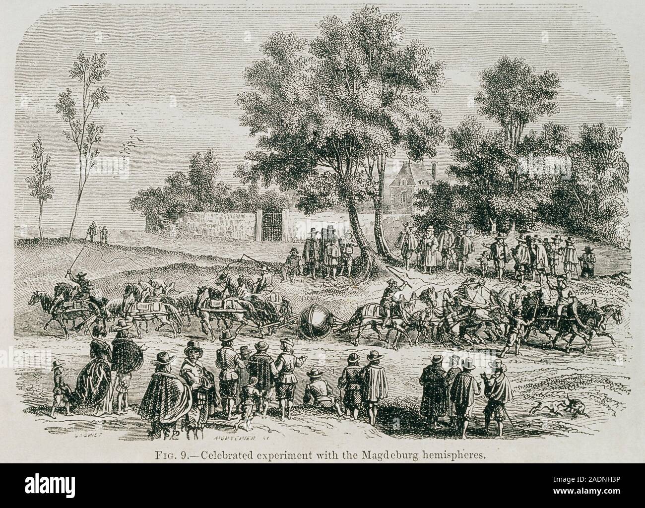Guericke's Magdeburg experiment. Engraving showing the famous ...