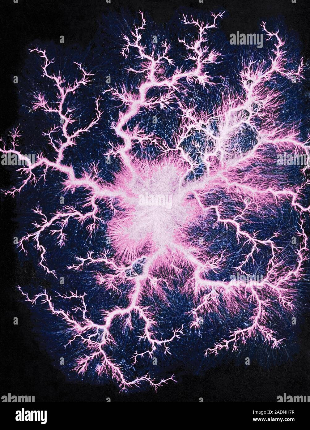 Electric spark, positive pole. Coloured artwork of the branching ...