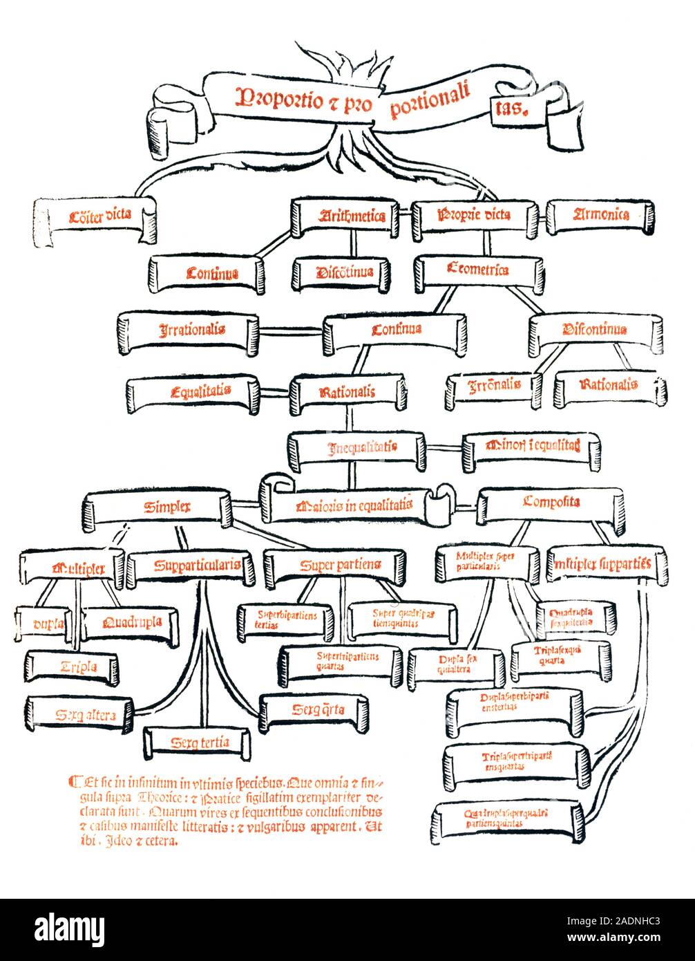 Mathematics diagram. Illustration of a diagram showing various areas of ...