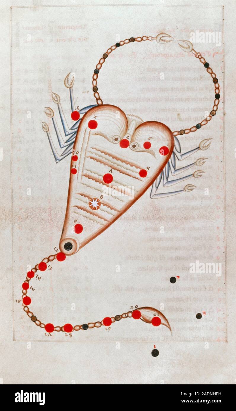 Scorpius. Medieval artwork of the constellation of Scorpius. A scorpion ...