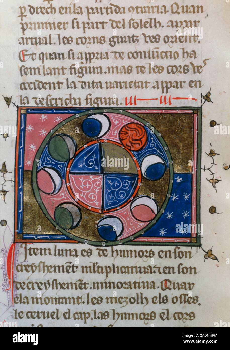 Moon phases. Medieval manuscript page showing the changes in the ...