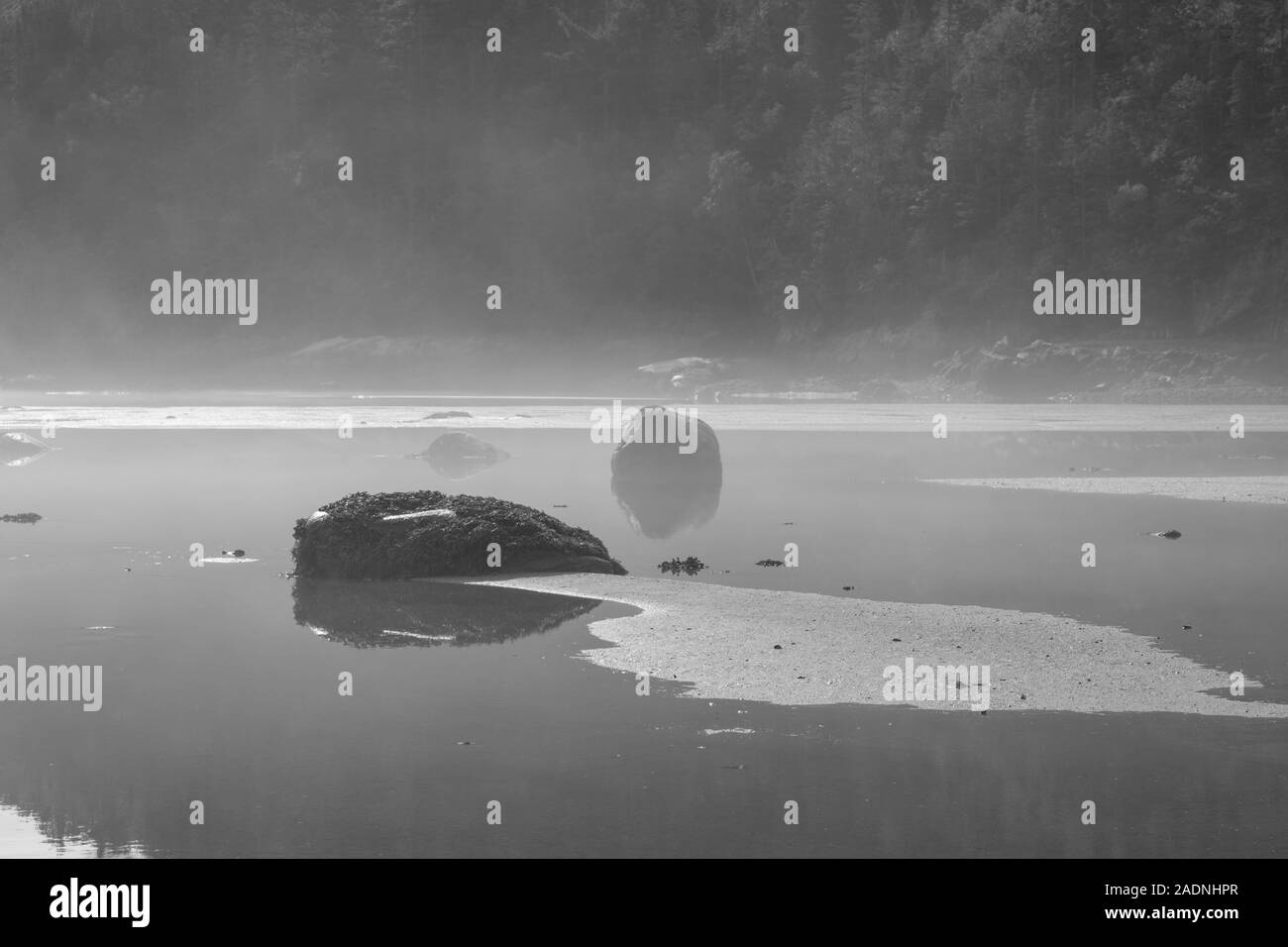 bay with rocks and mist Stock Photo - Alamy
