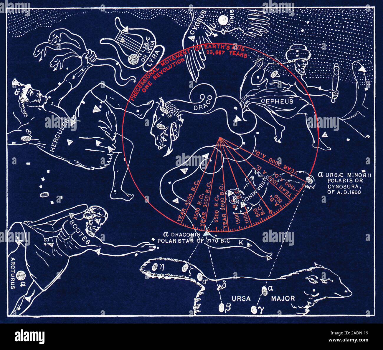 Precession of the North Celestial Pole. Artwork of the constellations ...