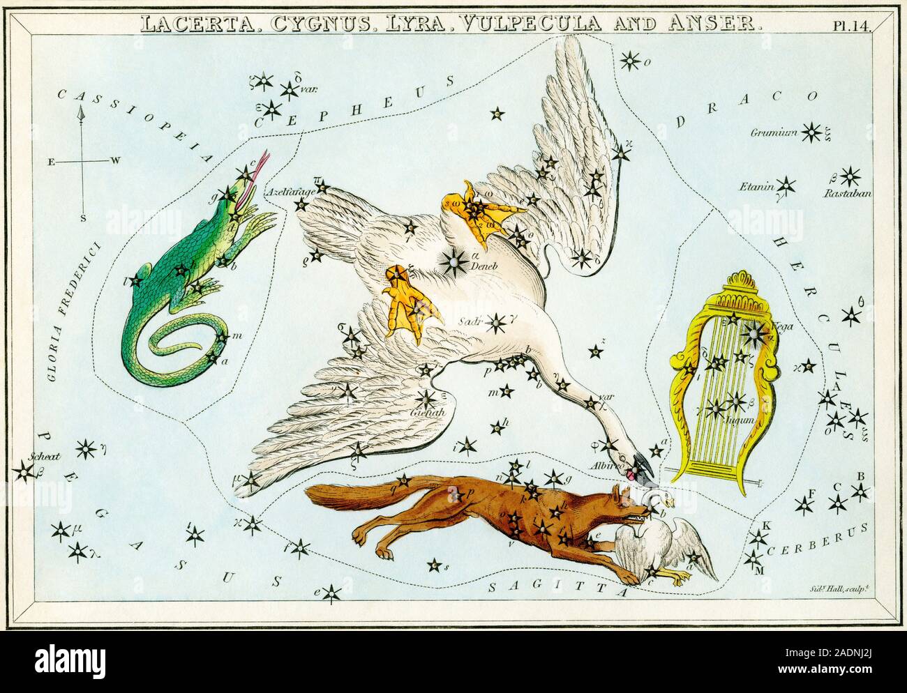 Cygnus and Lyra constellations. Illustrated card from a 19th century ...