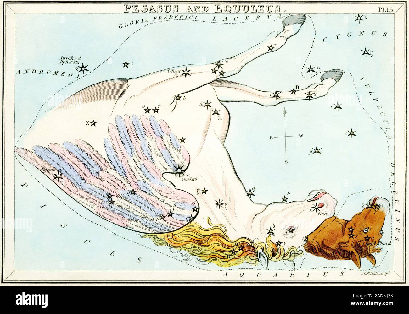 Pegasus and Equuleus constellations. Illustrated card from a 19th ...