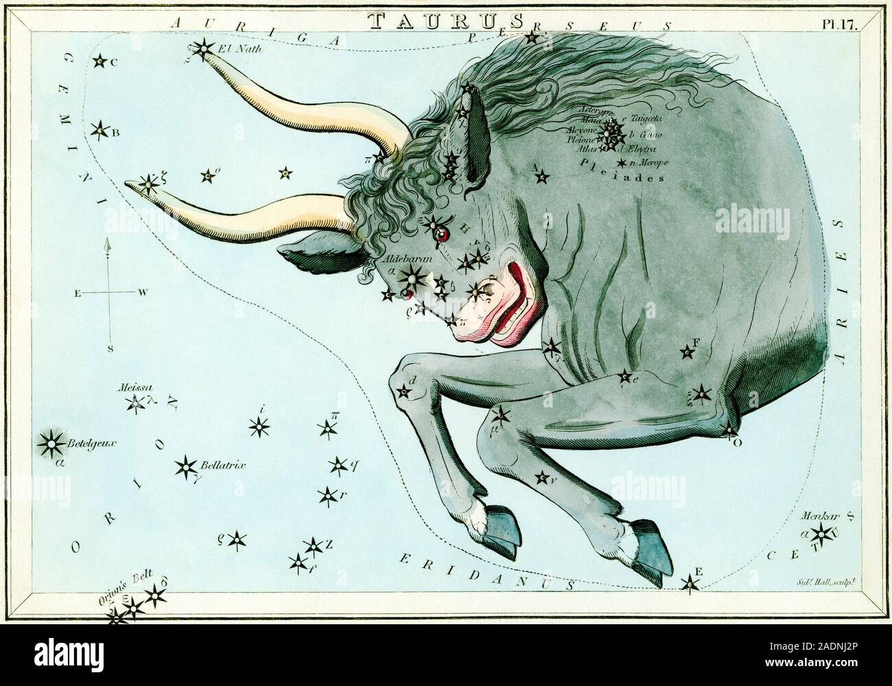 Taurus constellation. Illustrated card from a 19th century astronomical ...