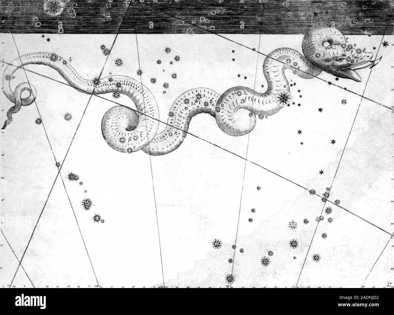 Hydra constellation, 17th century artwork. Hydra was a serpentine ...