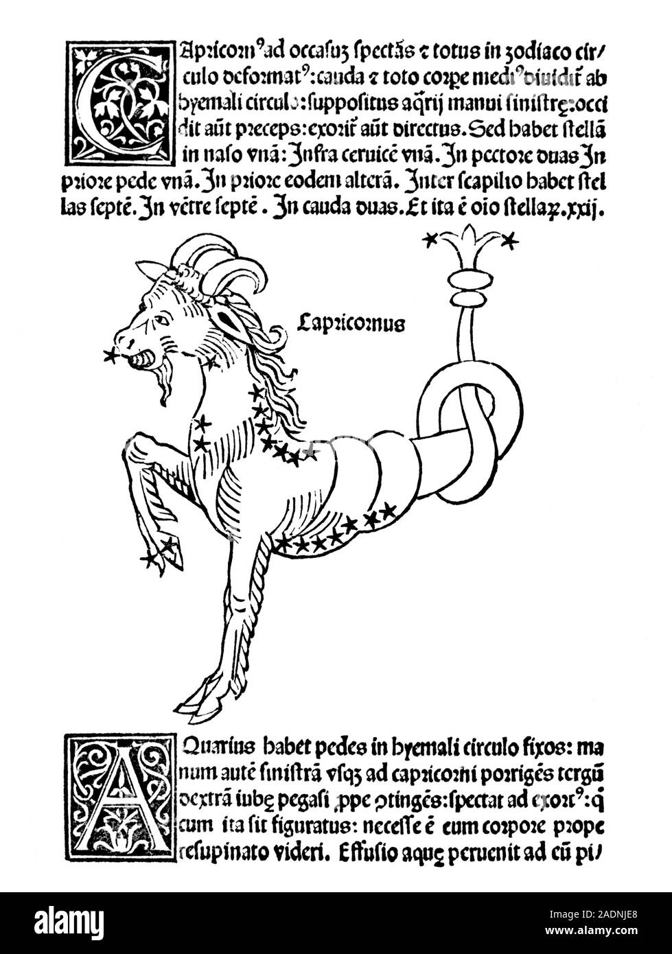 Capricorn constellation, 15th century artwork. Engraving of Capricorn ...